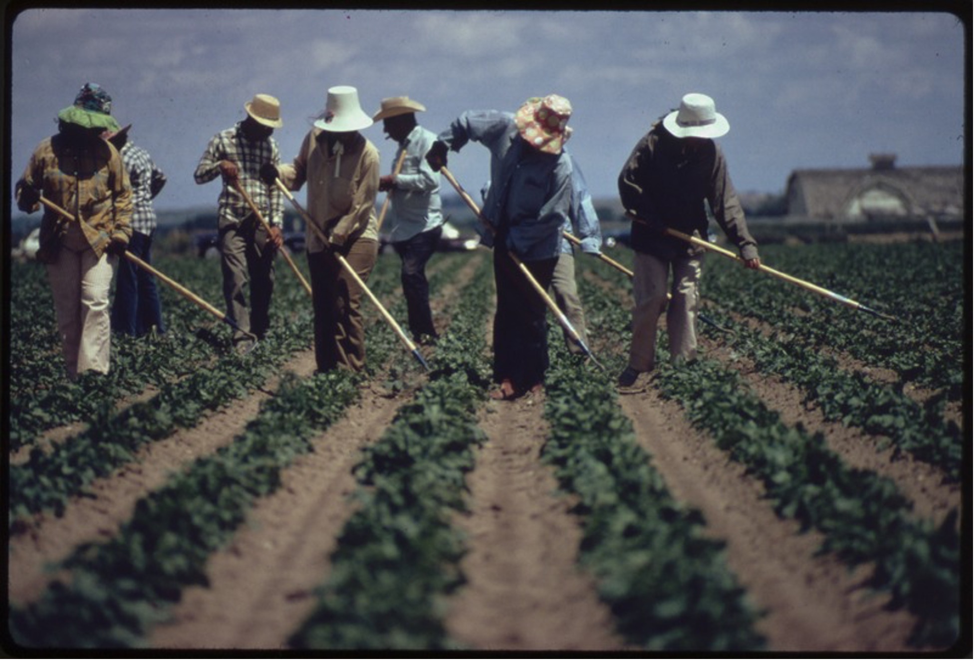 State-Based Approaches to Agricultural Labor Relations - Richmond ...